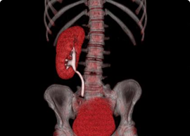 Home - Dr Ashish Sachdeva